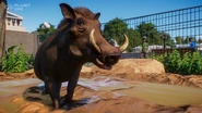 Common Warthog | Planet Zoo Wiki | Fandom
