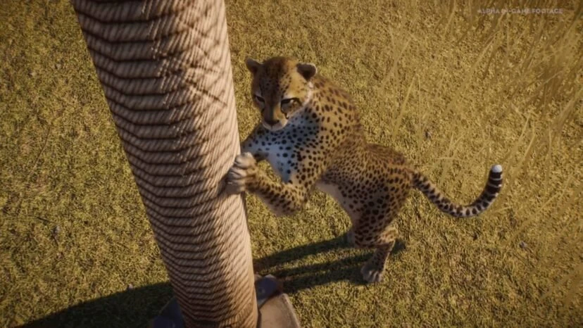 Scratching Post | Planet Zoo Wiki | Fandom
