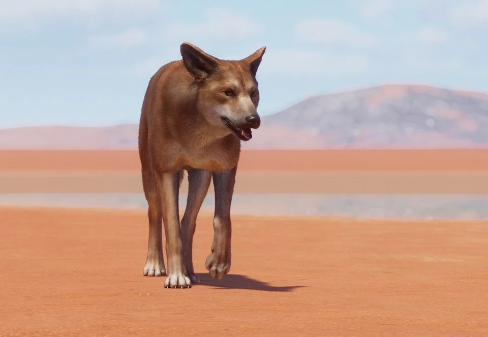 Dingo | Planet Zoo Wiki | Fandom