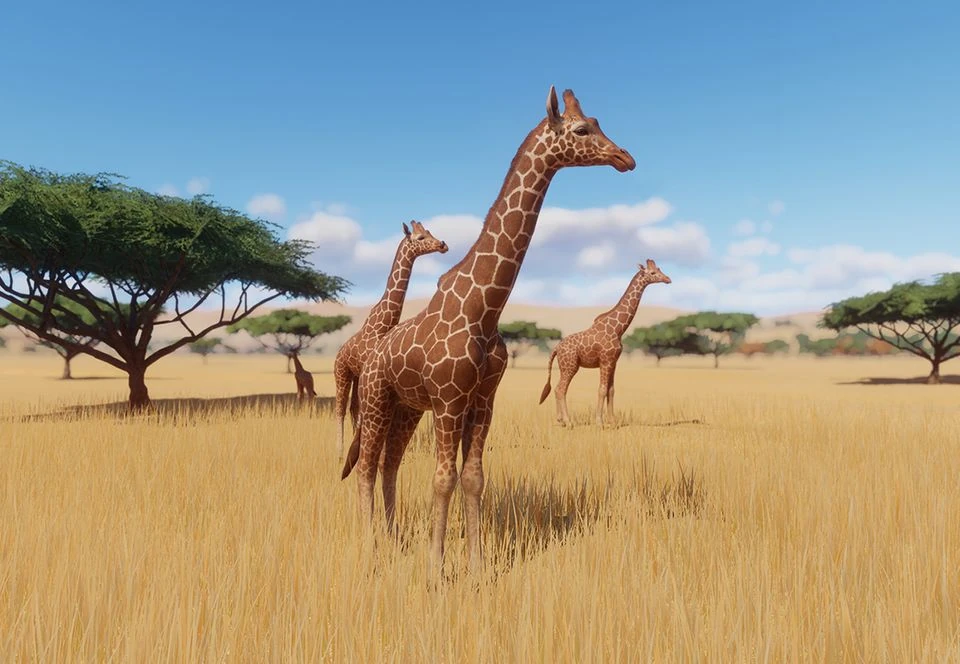 Reticulated Giraffe | Planet Zoo Wiki | Fandom