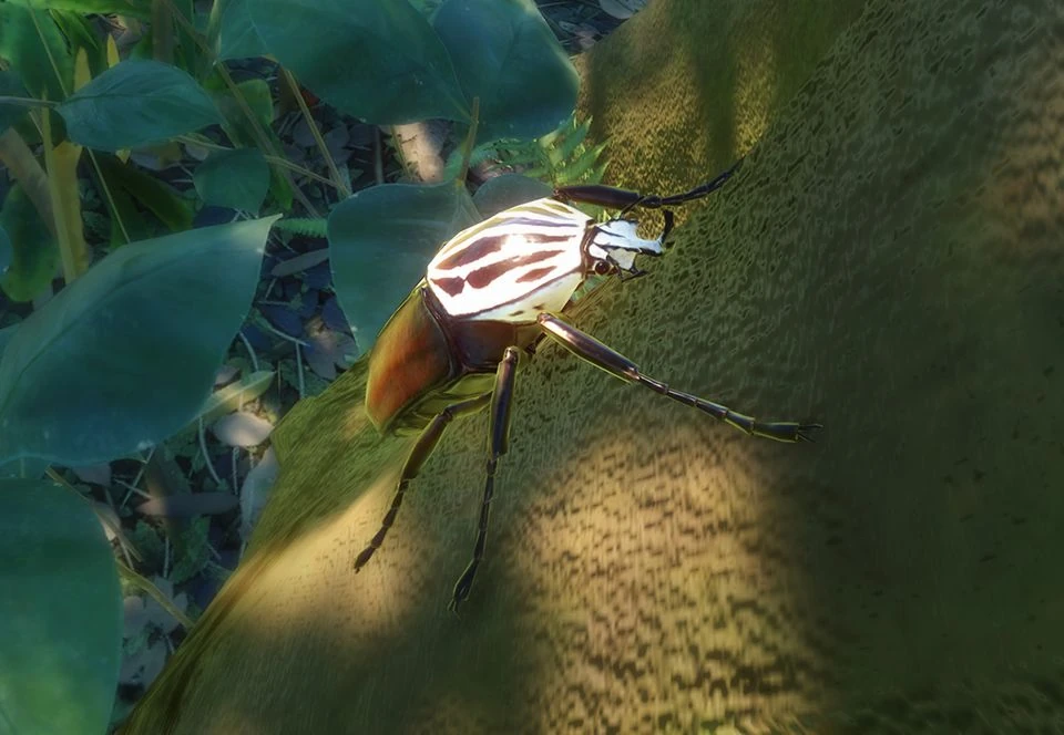 Goliath Beetle | Planet Zoo Wiki | Fandom