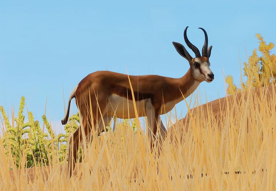 Springbok | Planet Zoo Wiki | Fandom