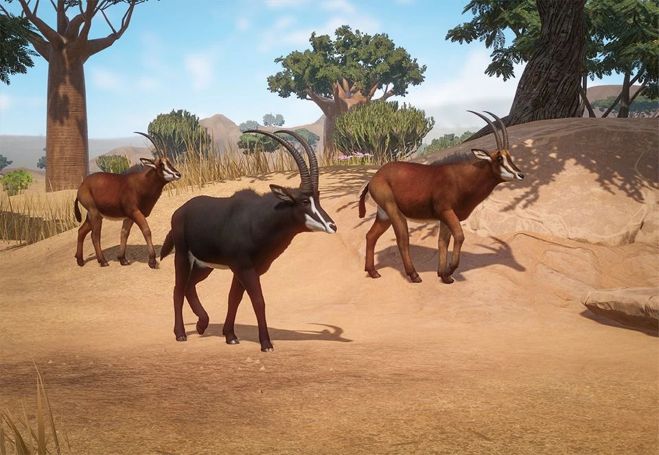 Sable Antelope | Planet Zoo Wiki | Fandom