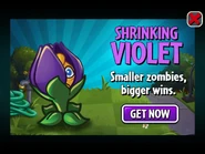 Shrinking Violet/Gallery | Plants vs. Zombies Wiki | FANDOM powered by ...