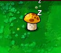 Sun-shroom/Gallery | Plants vs. Zombies Wiki | FANDOM powered by Wikia