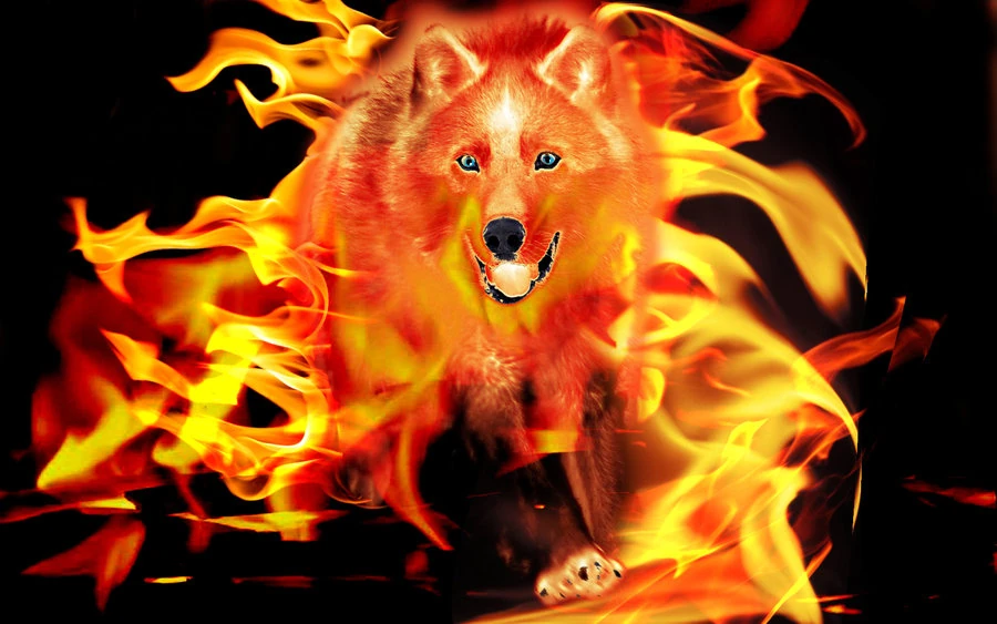 Image - Flaming wolf by wolfsabymj-d4ptdb9.jpg | Plants vs. Zombies ...