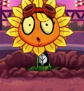 Destello Solar | Wiki Plants vs. Zombies | Fandom