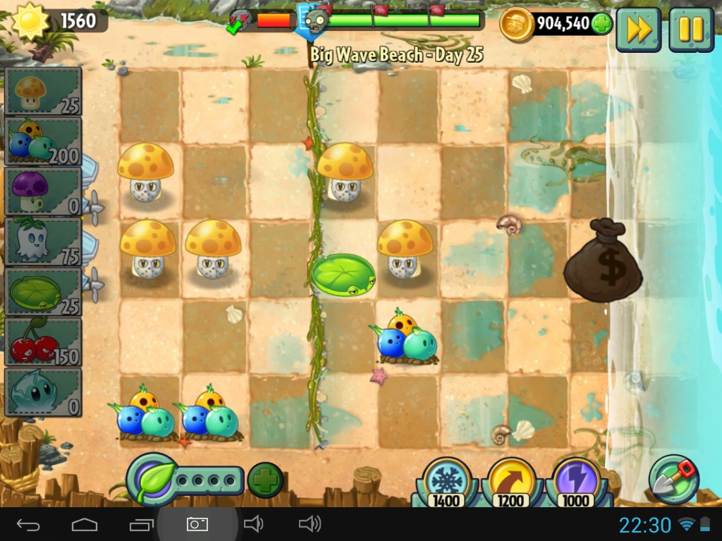 Big Wave Beach - Day 25 | Plants vs. Zombies Wiki | Fandom
