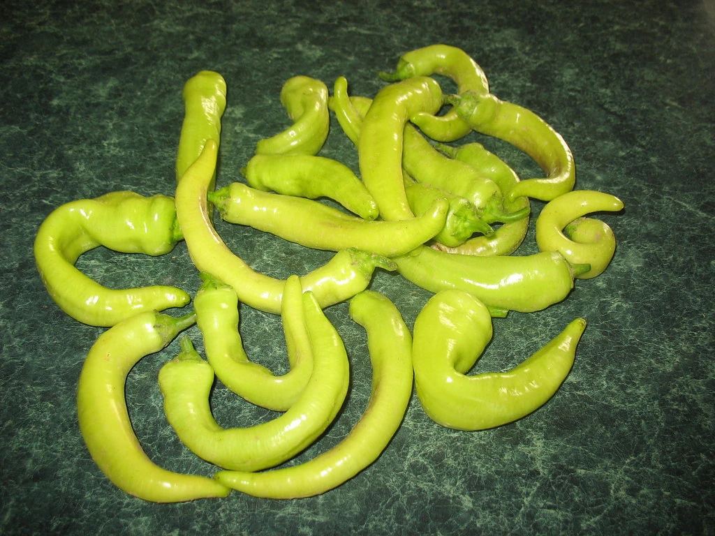 Pickled Pepper | Plants vs. Zombies Wiki | Fandom