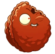 Explode-o-nut/Gallery | Plants vs. Zombies Wiki | FANDOM powered by Wikia