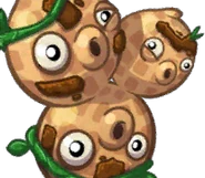 Three-Nut | Plants vs. Zombies Wiki | FANDOM powered by Wikia