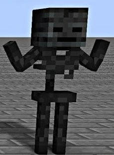 Wither Skeleton | PlataBush Wiki | Fandom