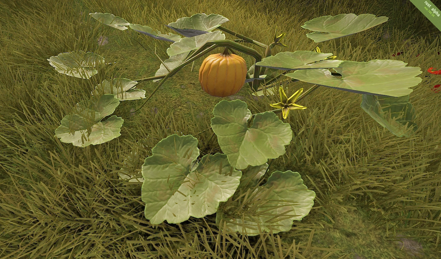 Image - Pumpkin.plant.png | Rust Wiki | FANDOM powered by Wikia