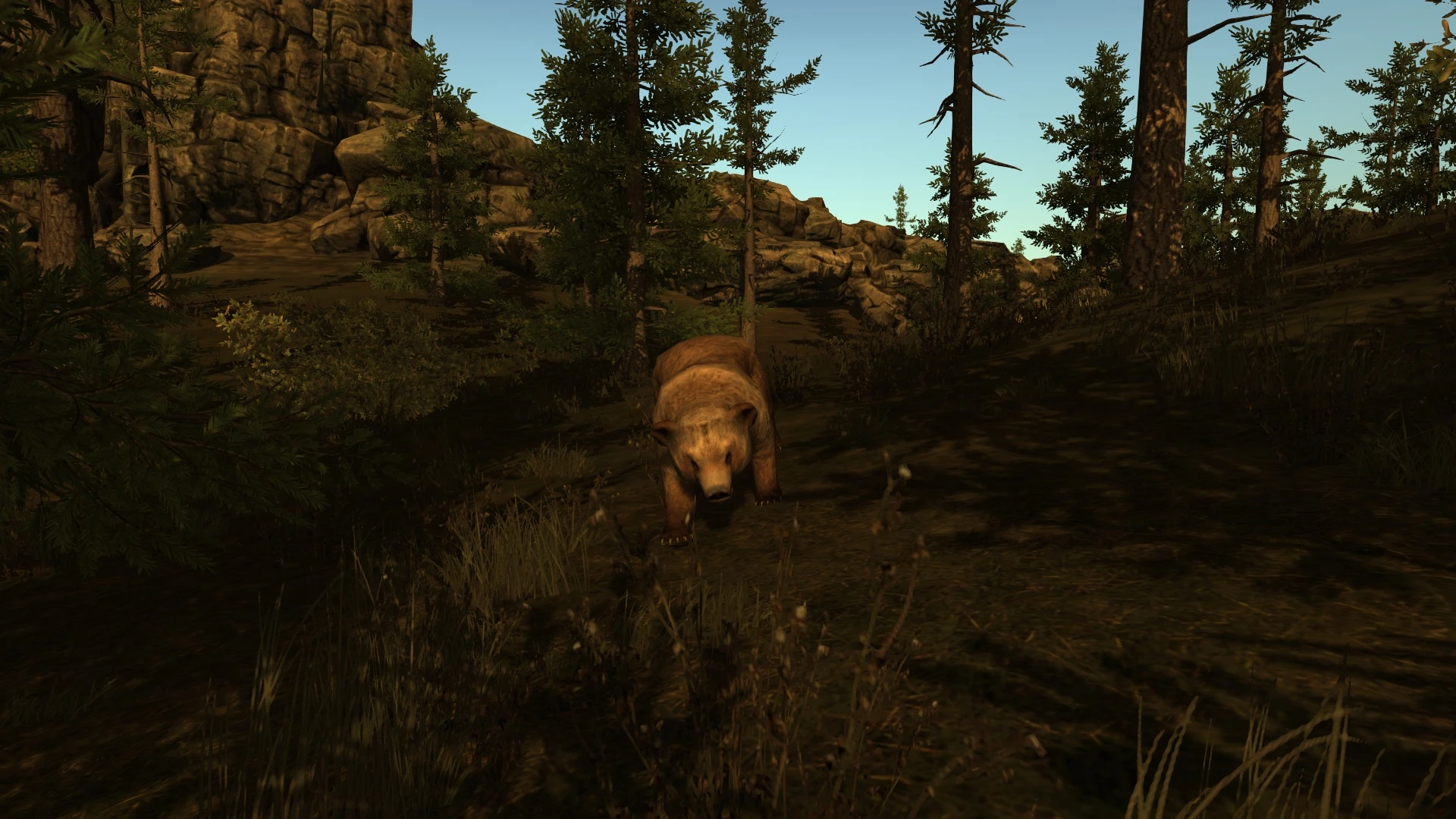 Image - Rust bear.jpg | Rust Wiki | FANDOM powered by Wikia