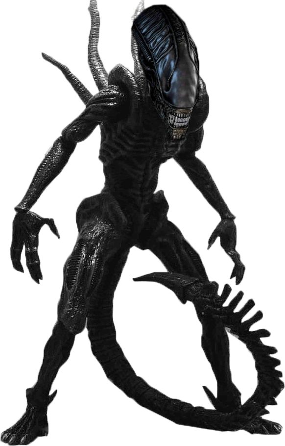 Image - Xenomorph.png | PlayStation All-Stars Wiki | FANDOM powered by ...