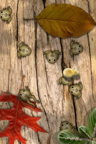 Beige | Pocket Frogs Wiki | Fandom