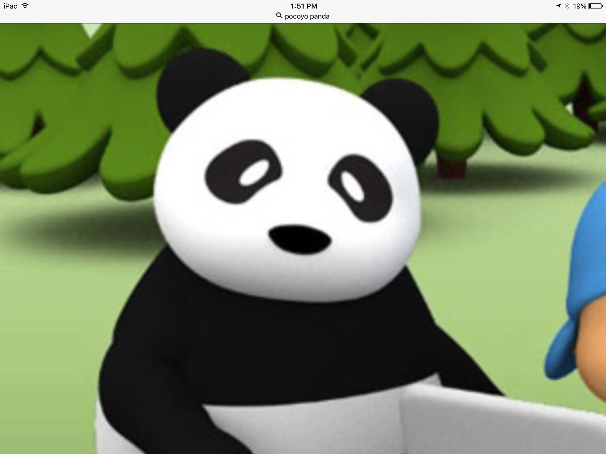 Panda | Pocoyo Wiki | Fandom