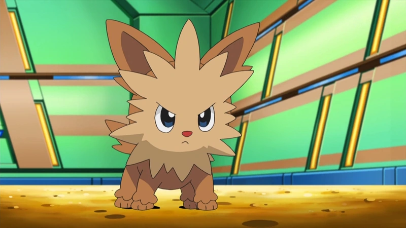 Lillipup | Wiki Pokédex | FANDOM powered by Wikia