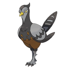 Unfezant | Wiki Pokédex | FANDOM powered by Wikia
