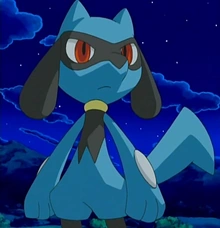 Imagen - Riolu..png | Poke Espectaculos Wiki | FANDOM powered by Wikia