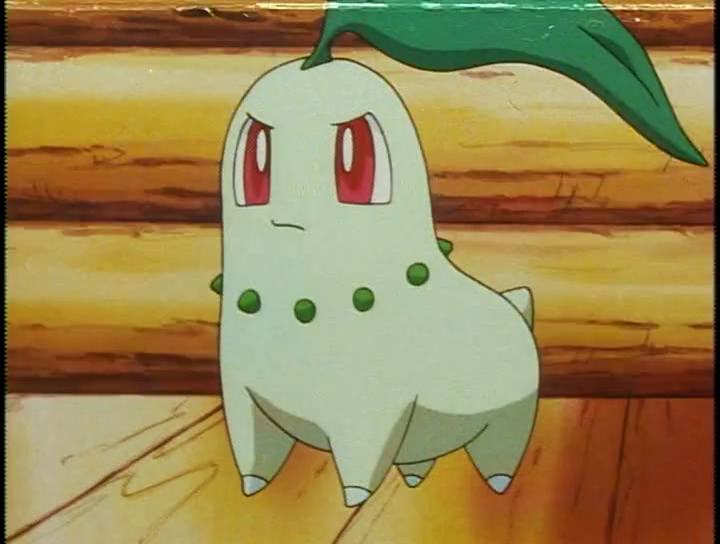 Chikorita Pokemon And Hamtaro Wiki Fandom Powered By Wikia
