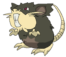 Raticate | PoKéMoN-Encyclopedia Wiki | Fandom