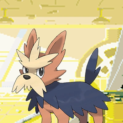 Asher | Pokémon Explorers Wiki | Fandom