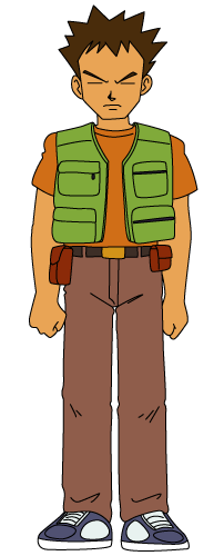 Brock (anime) | Wikia Pokemon Land | Fandom