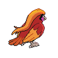 Pidgeot | Pokémon Floral Tempus Wiki | Fandom