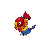 Chatot | Pokémon Floral Tempus Wiki | Fandom