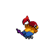 Chatot | Pokémon Floral Tempus Wiki | Fandom