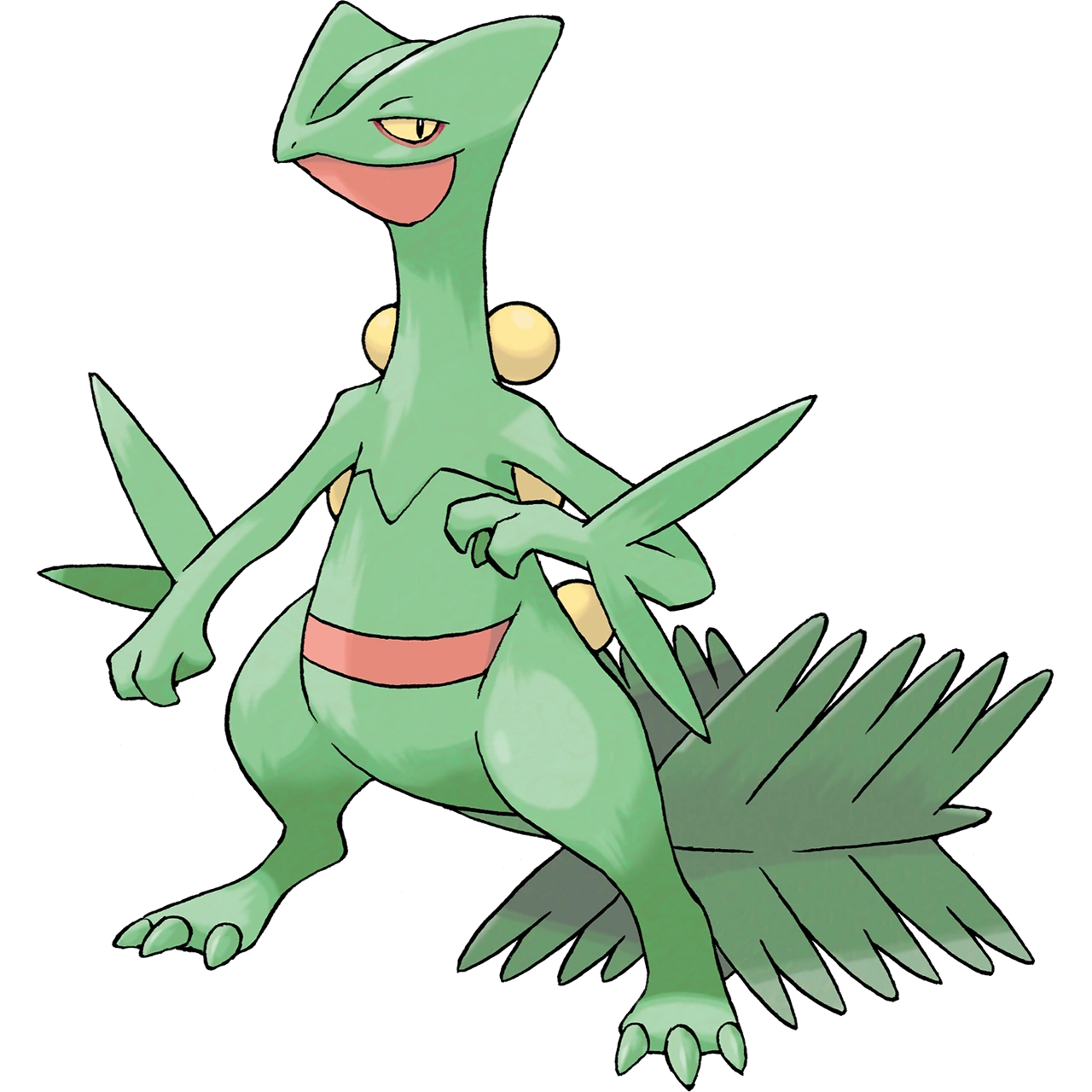 Sceptile (Pokémon) | Pokémon Meta Mercury Wikia | Fandom