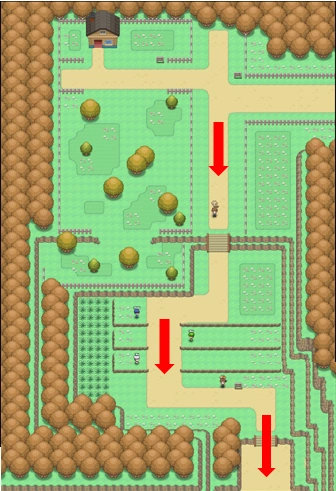 Johto Walkthrough | Pokemon Planet Wikia | FANDOM powered by Wikia