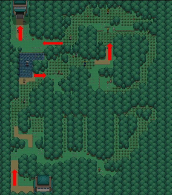 Pokemon ilex forest