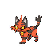 Torracat | Pokemon Reborn Wikia | FANDOM powered by Wikia