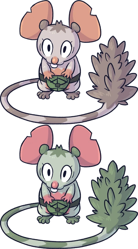 Pakrat | Pokémon Umbra Wiki | Fandom