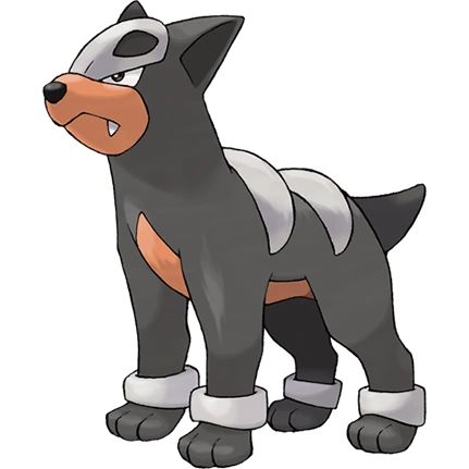 델빌 (포켓몬) | 포켓몬 위키 | Fandom