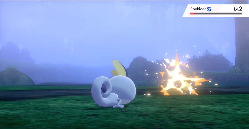 Pound | Pokémon Wiki | Fandom