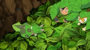 BW076: Battling the Leaf Thieves! | Pokémon Wiki | Fandom