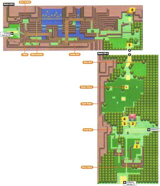 210번도로 | 포켓몬 위키 | Fandom