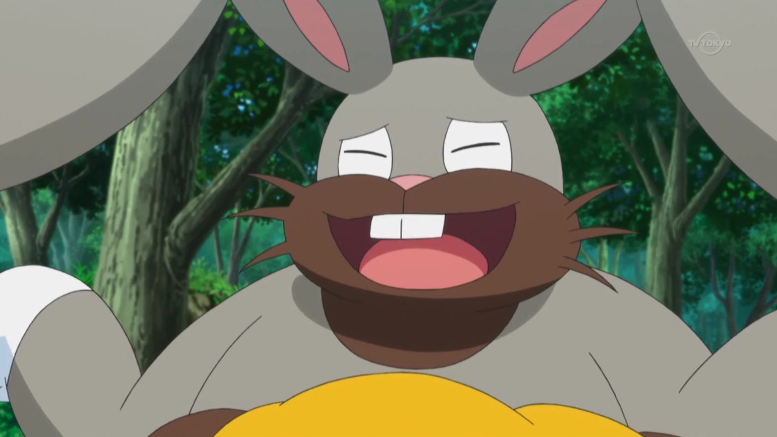 Diggersby (XY098) | Pokémon Wiki | FANDOM powered by Wikia