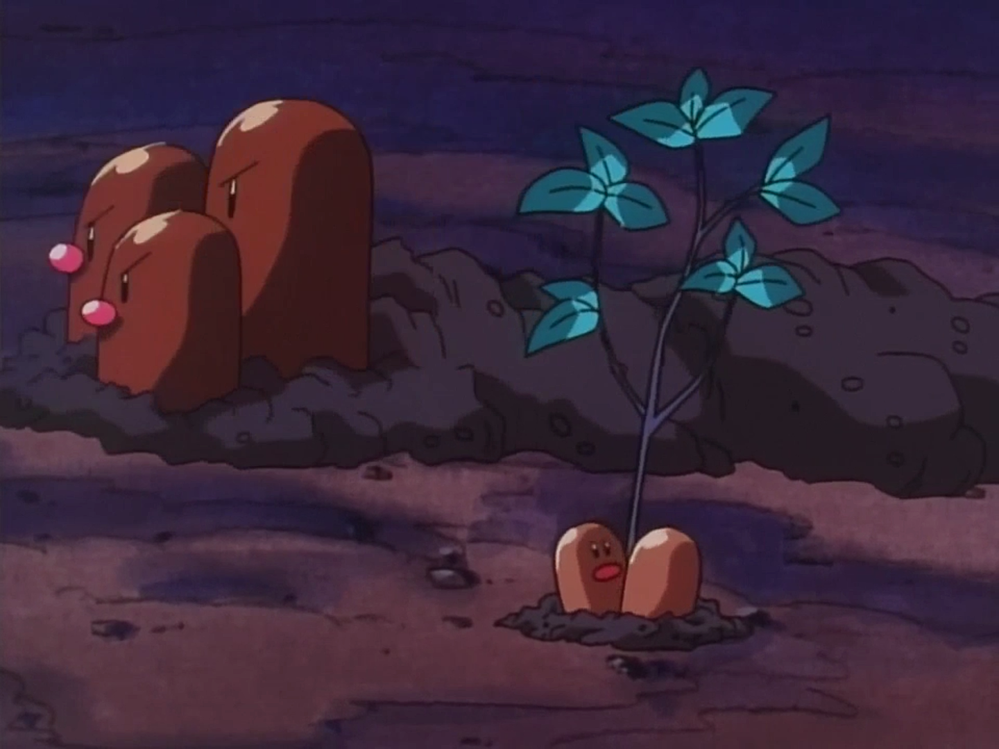 TB031: Dig Those Diglett! | Pokémon Wiki | Fandom