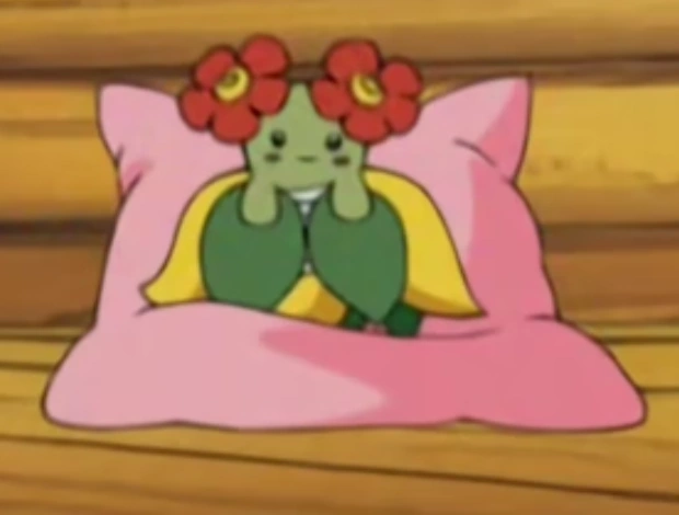 Katrina (Hoenn) | Pokémon Wiki | Fandom