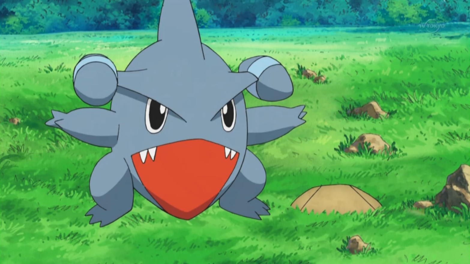 Khoury's Gible | Pokémon Wiki | FANDOM powered by Wikia