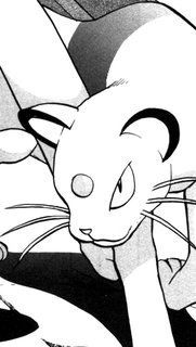 Sird | Pokémon Wiki | Fandom