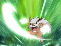 Shiftry (DP014) | Pokémon Wiki | FANDOM powered by Wikia
