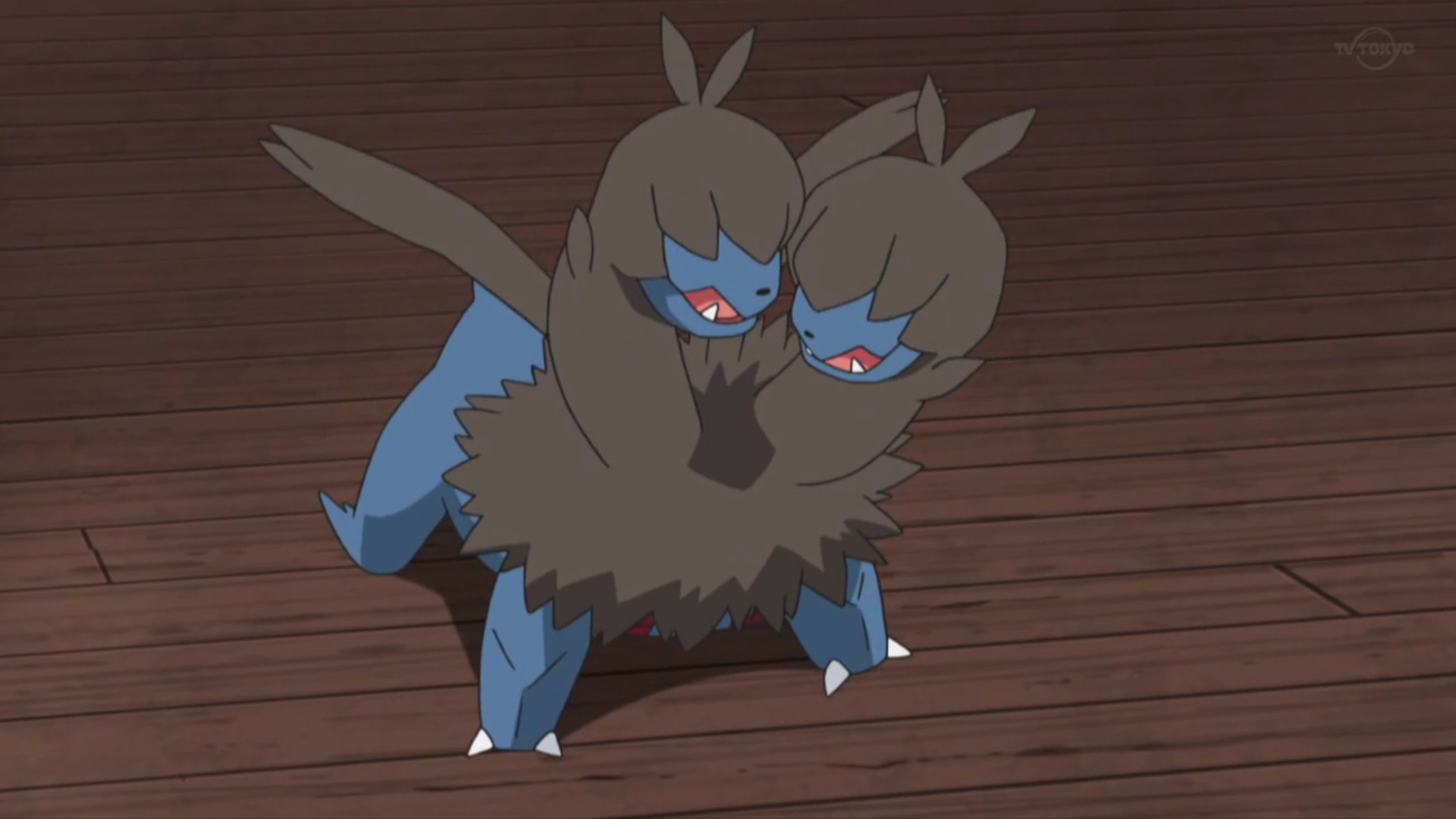 Ryuki (anime) | Pokémon Wiki | Fandom