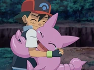 Ash's Gliscor | Pokémon Wiki | Fandom