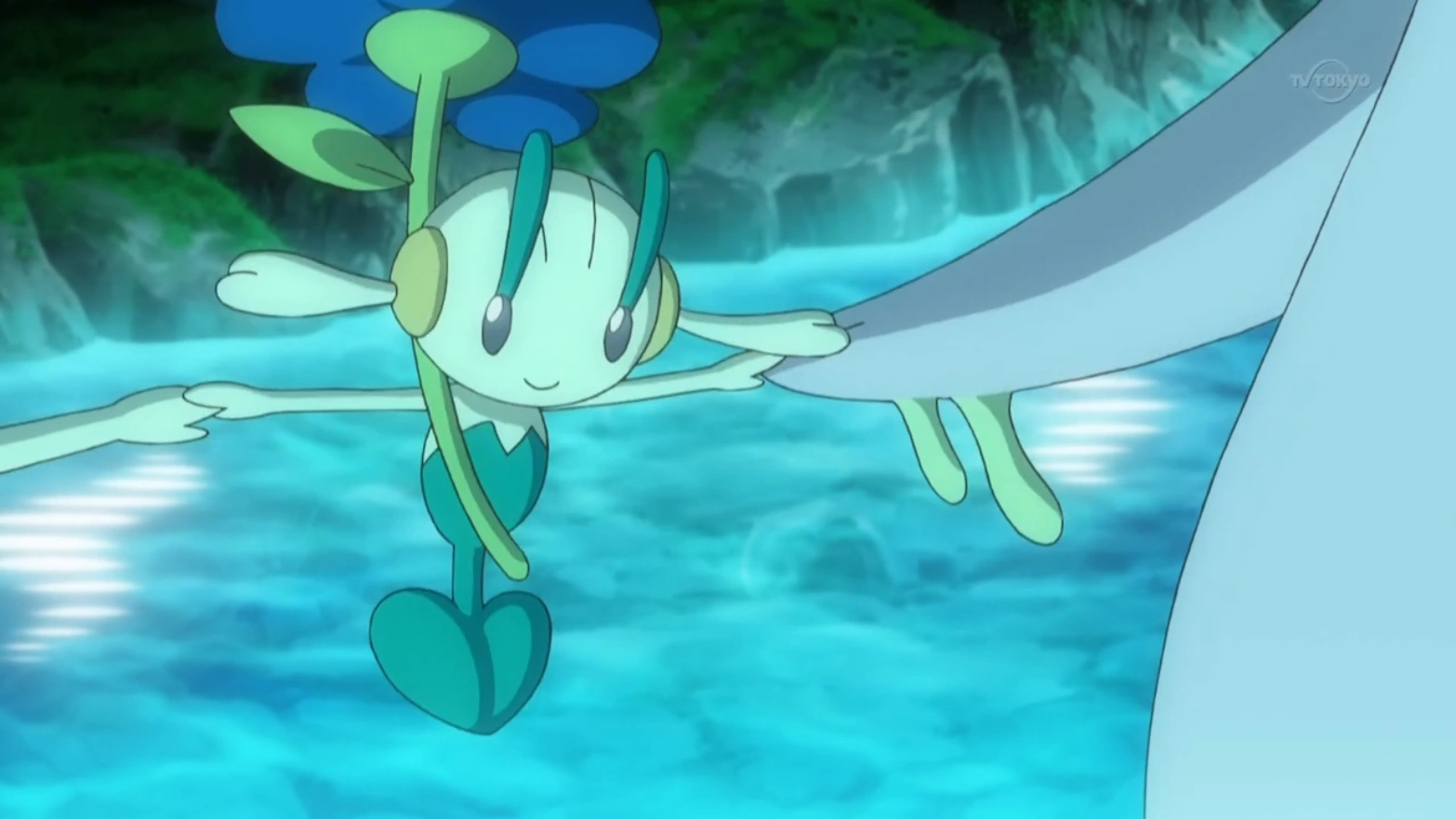 Floette (anime) | Pokémon Wiki | FANDOM powered by Wikia