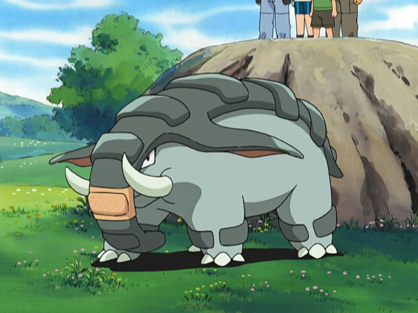 Donphan (RS115) | Pokémon Wiki | Fandom